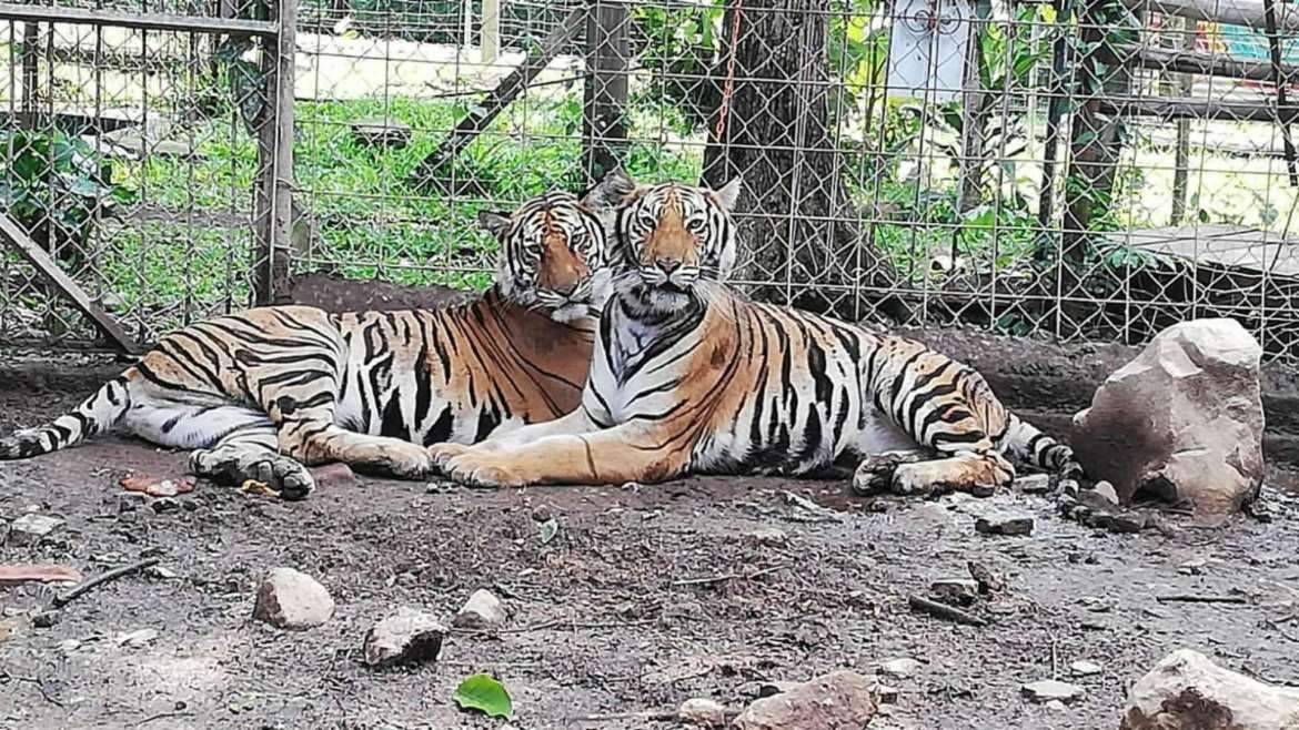 Africa Bio Zoo – Zoológico de Cordoba Veracruz